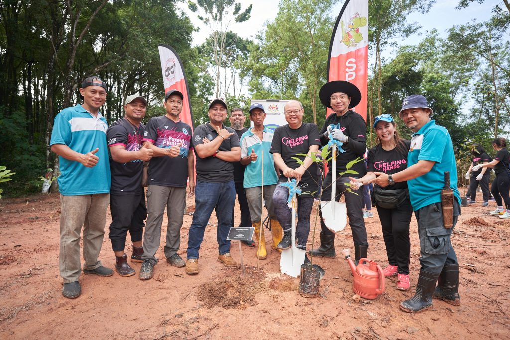 STM Lottery Plants 80 Trees Once Again for Greener Environment ...